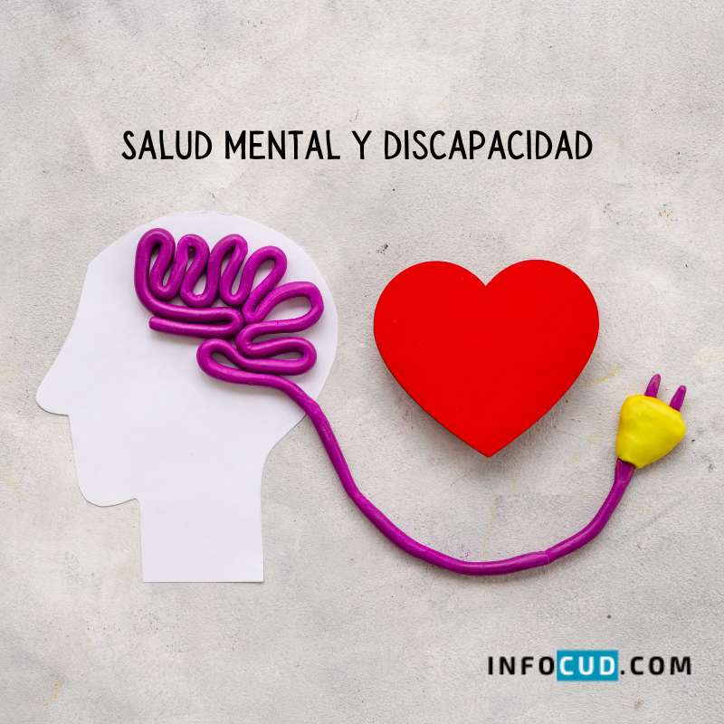 Salud mental y discapacidad en Argentina