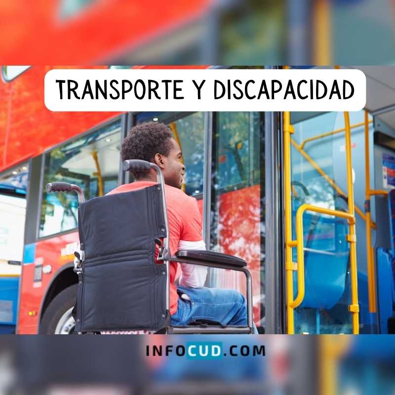 Transporte y discapacidad- INFOCUD
