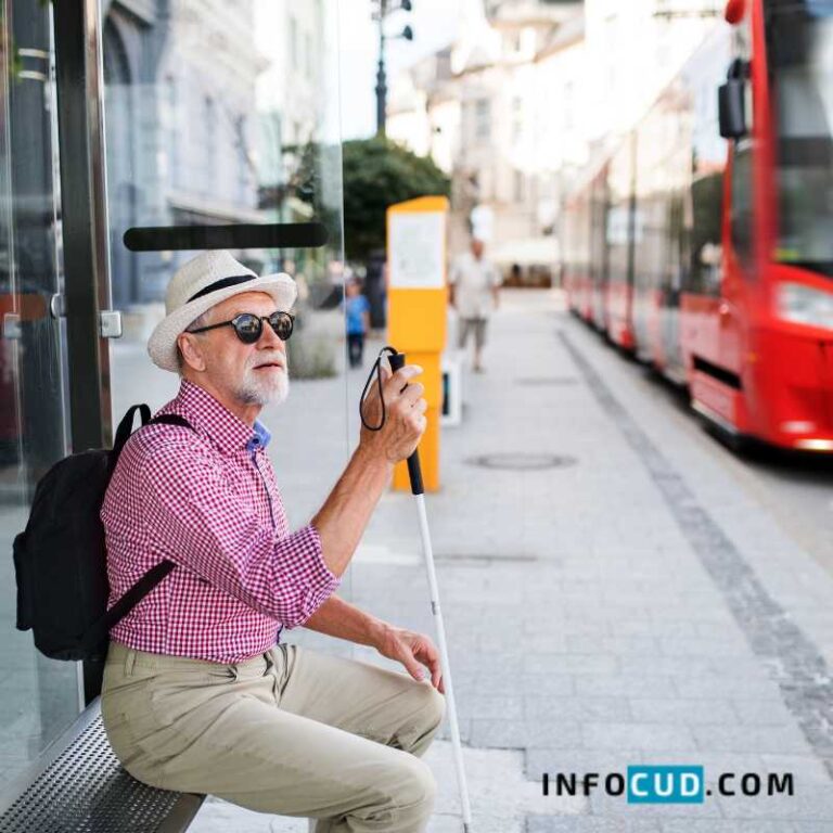 Transporte y discapacidad- INFOCUD